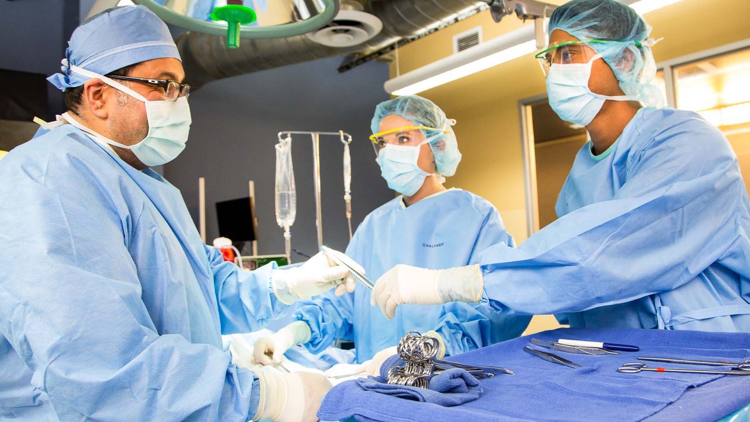 Health Care Career Training and Programs, Healthcare Administration ...